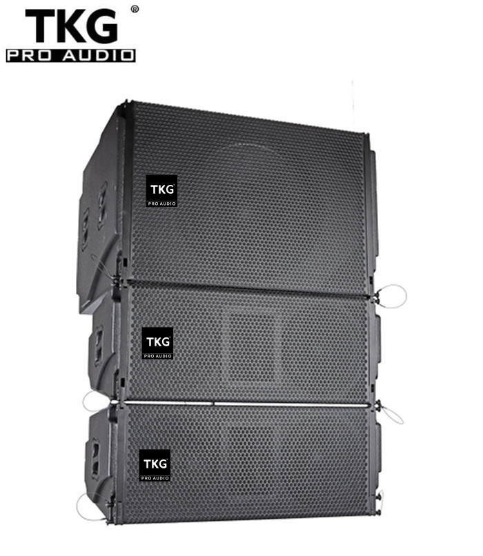 TKG FA208 8 inch line array 700W dual 8 inch church 8 inch line array ...